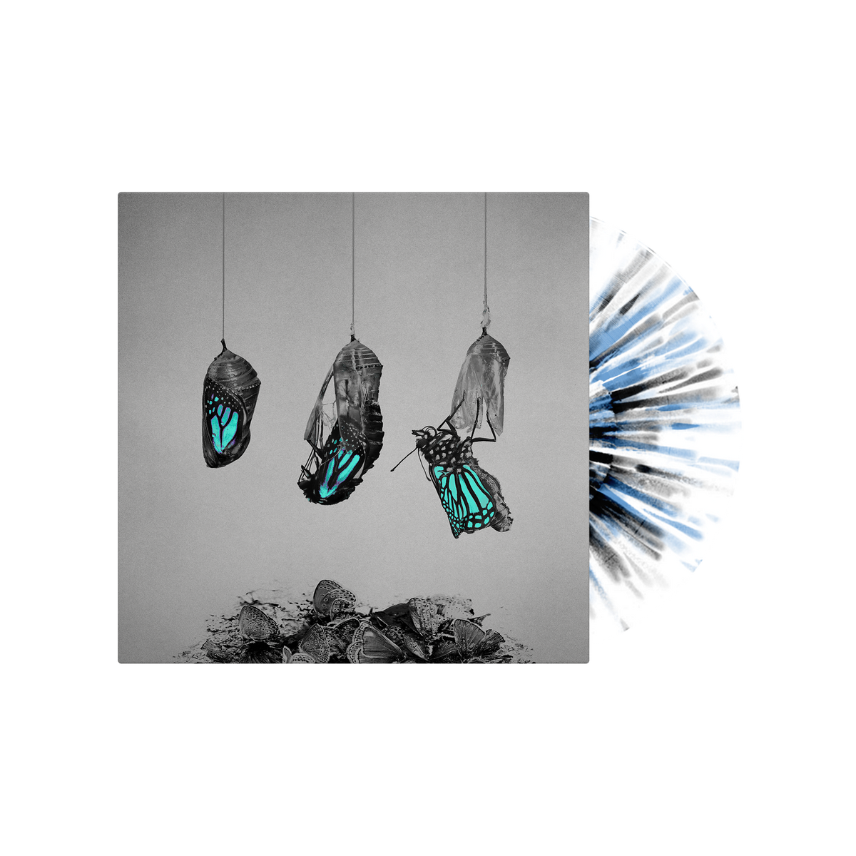 How The Beautiful Decay "Lifecycle" Vinyl – Solid State Records